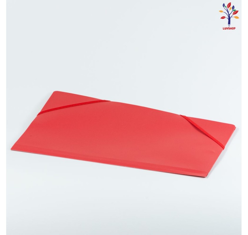 Mapa plastic A4 cu elastic 1296 - CC287
